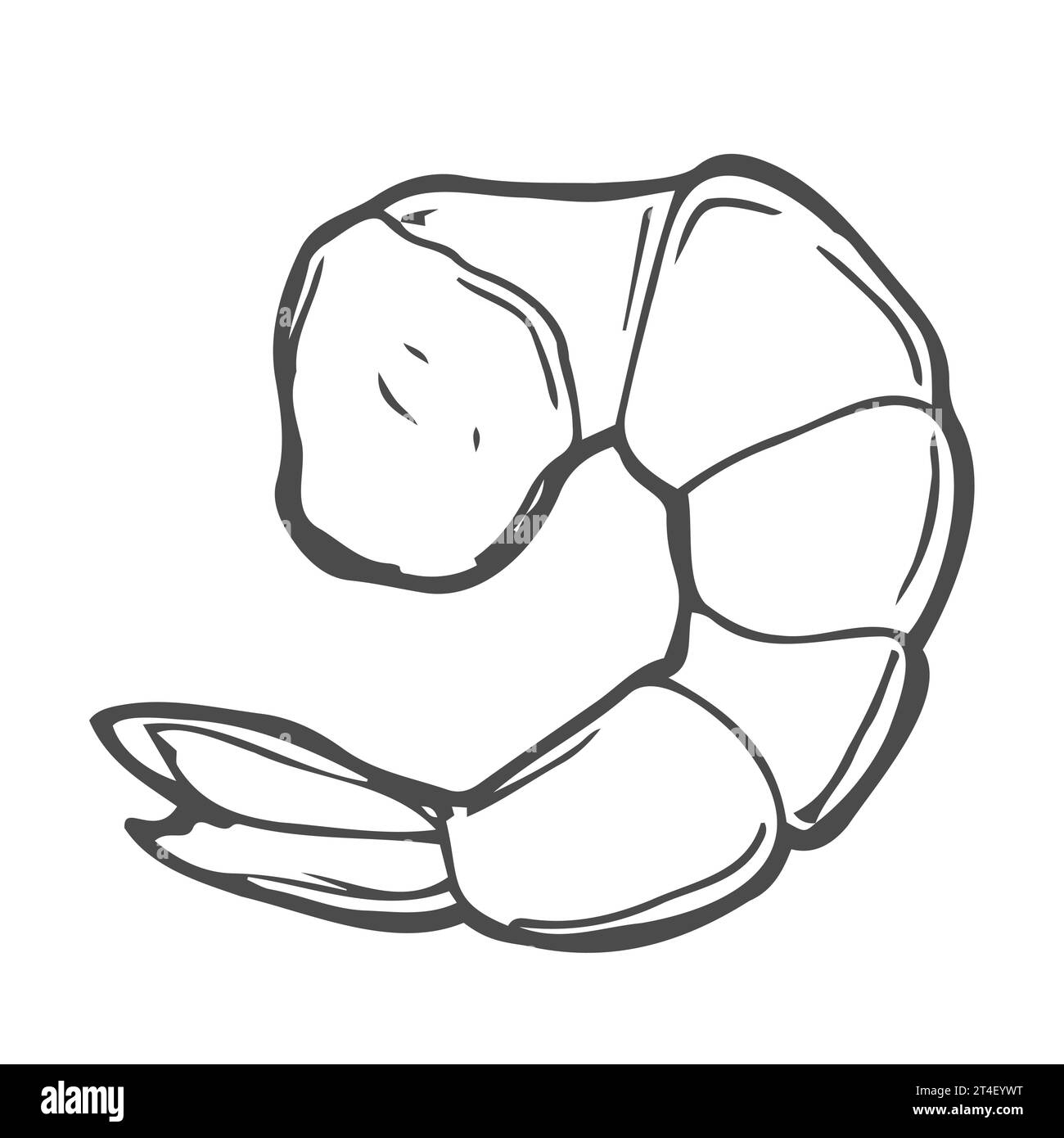 Set fresh fish shrimp Black and White Stock Photos & Images - Alamy