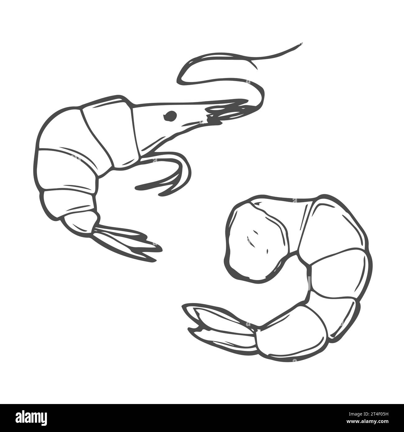 Set fresh fish shrimp Black and White Stock Photos & Images - Alamy