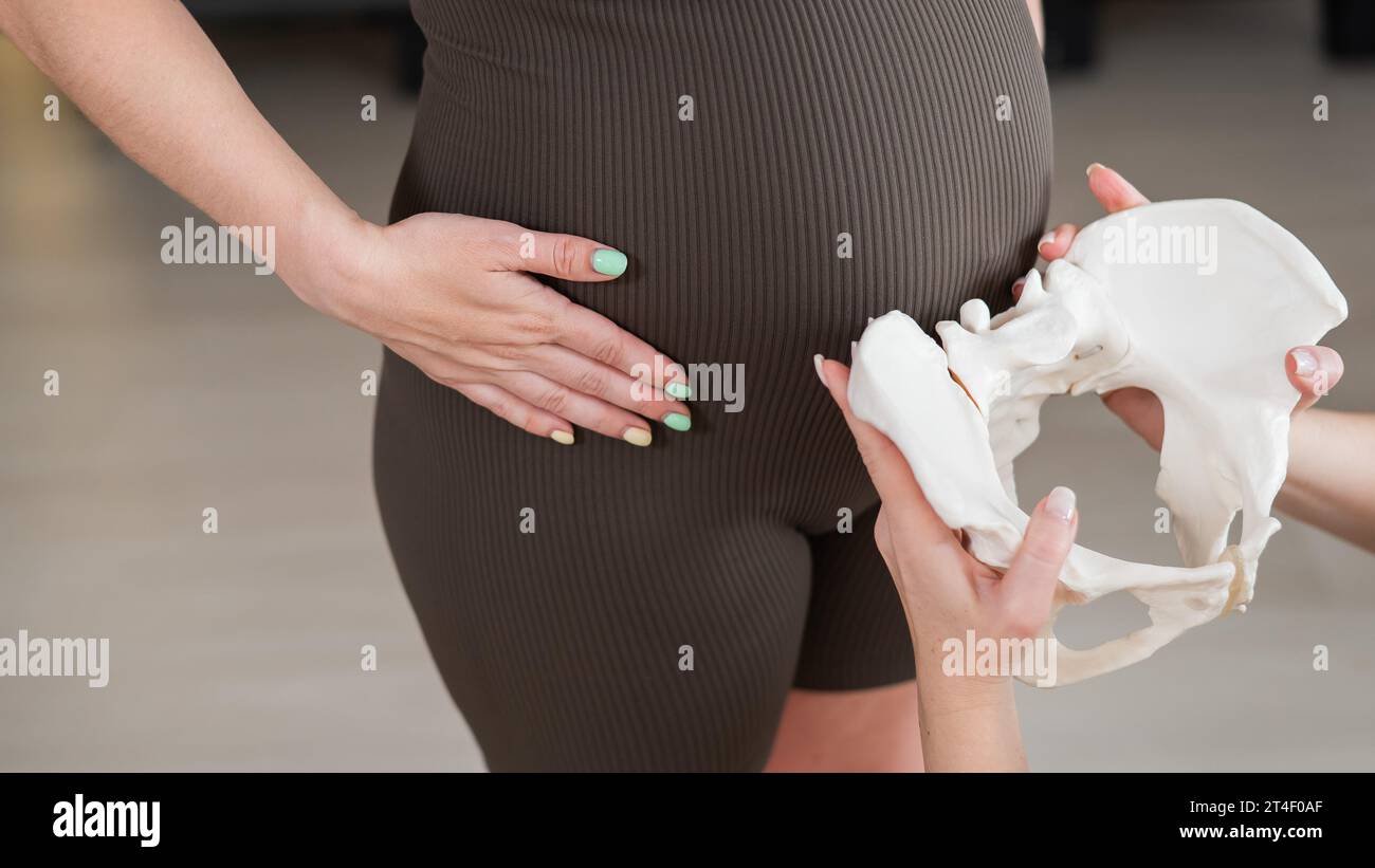Doula explains the process of childbirth on a sample of the pelvis of a ...