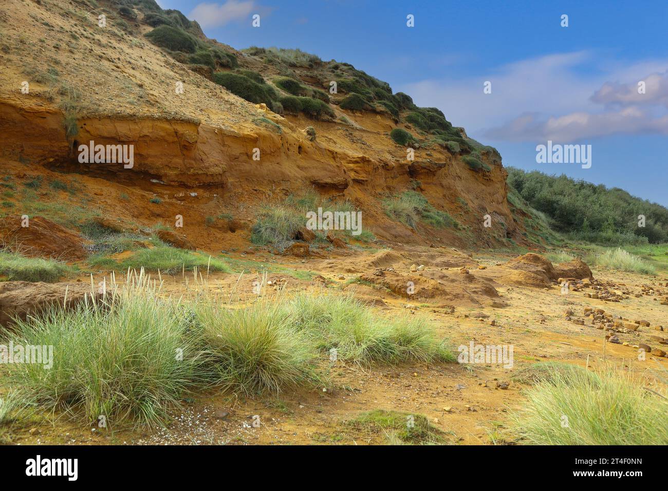 Brownish reddish coloration hi-res stock photography and images - Alamy