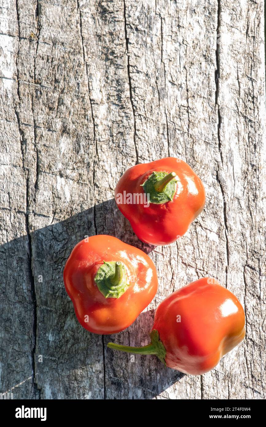 Rocoto chili hi-res stock photography and images - Alamy