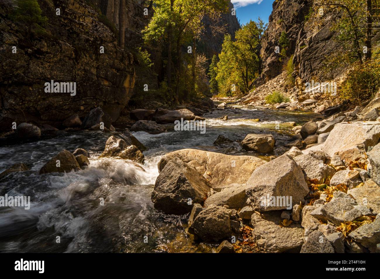 Narrow Canyon along the North Fork of the Boise Riverl in Idaho's ...