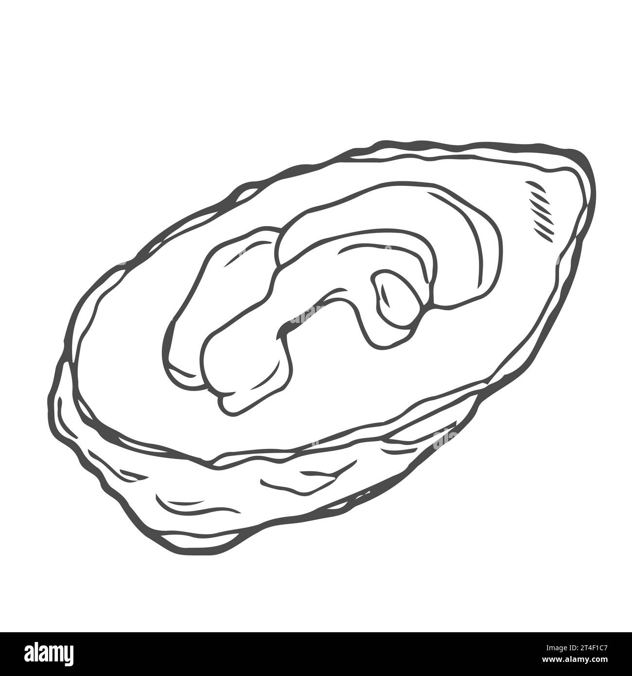 Hand drawn oysters composition. Seafood sketch style illustration ...