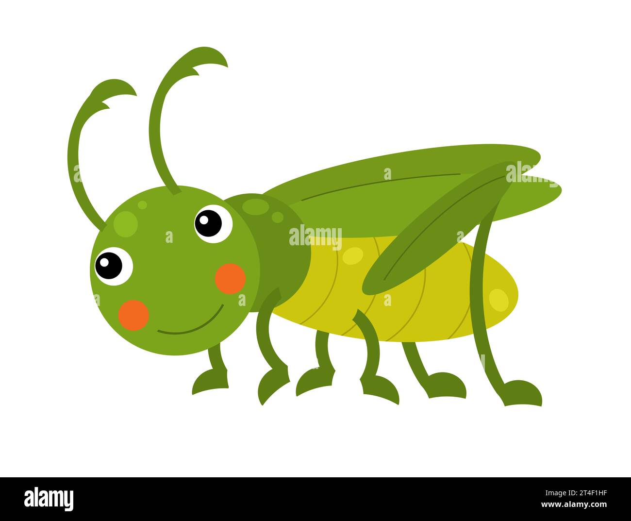 Cartoon animal grasshopper hopper on white background illustration for ...