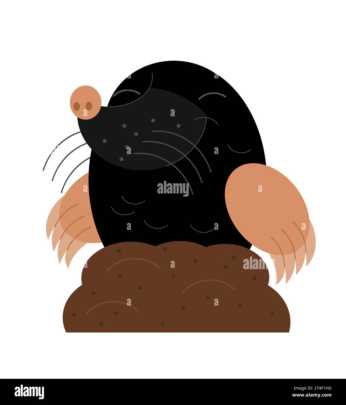 Moles Clip Art Funny