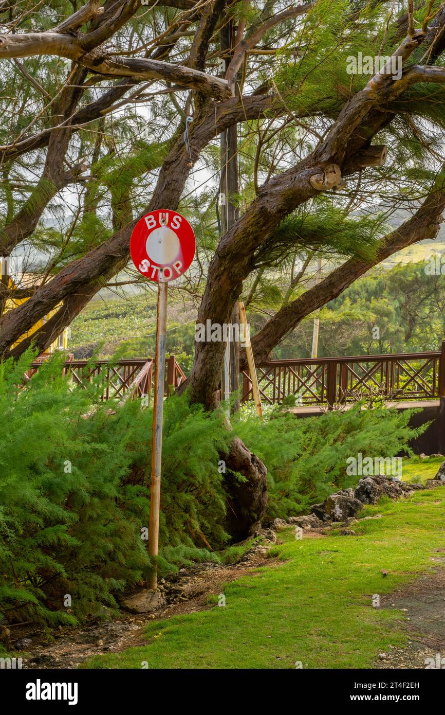 A bus stop sign in Barbados, a rural area Stock Photo - Alamy