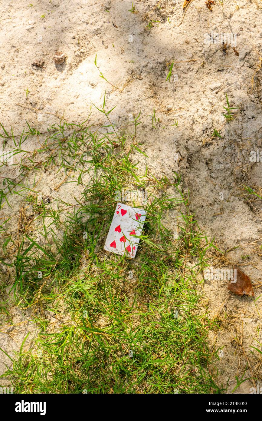 A playing card dropped, lying in the sand Stock Photo - Alamy