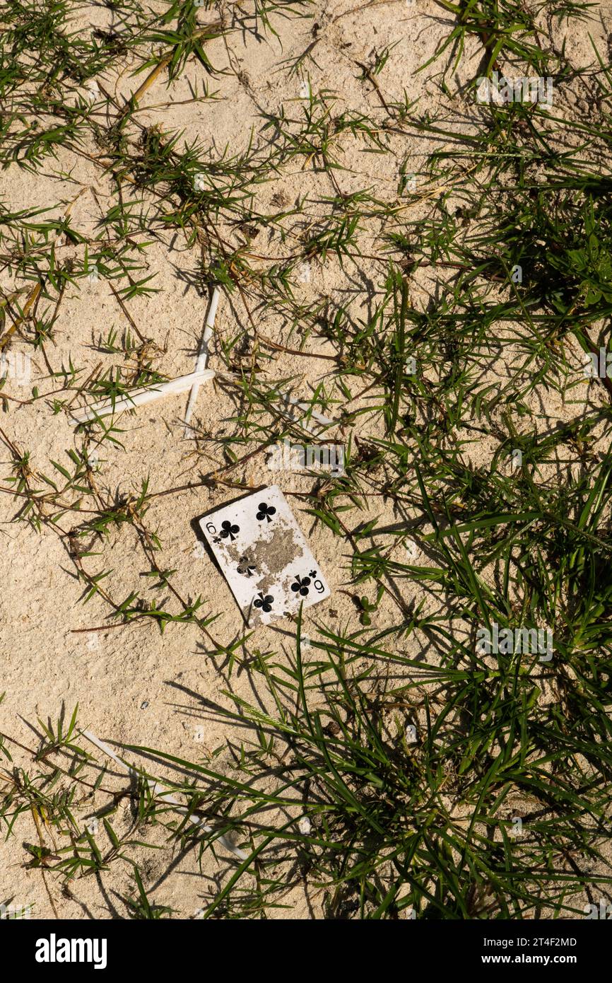 A playing card dropped, lying in the sand Stock Photo - Alamy
