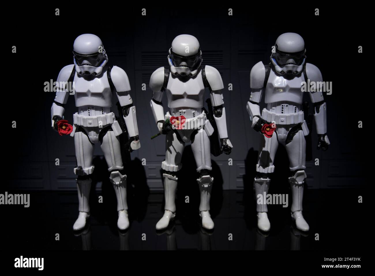 Stormtroopers remember the dead Stock Photo - Alamy