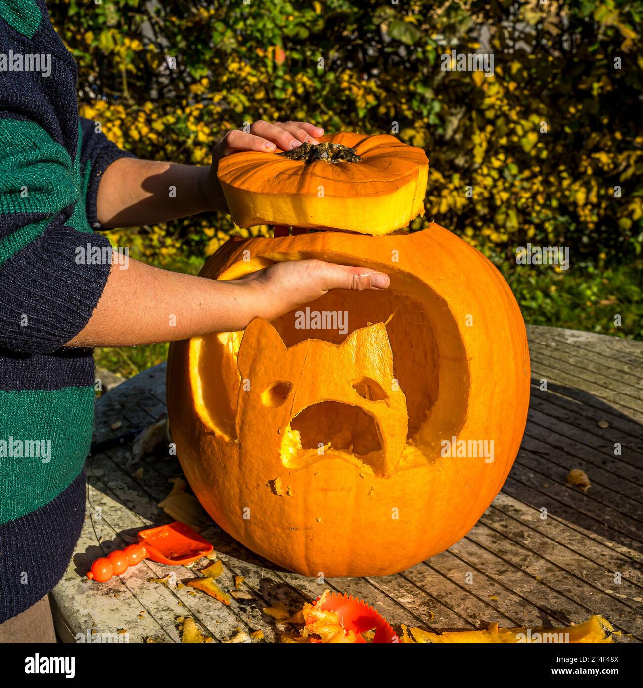 2023 cut out hi-res stock photography and images - Alamy