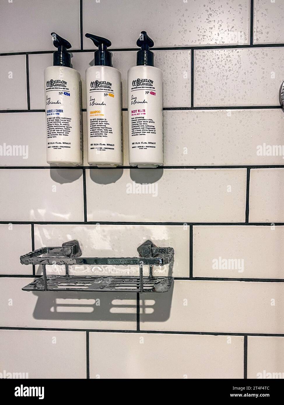 Pittsburgh, PA—Oct 25, 2023; reusable pump bottles of shampoo, body ...