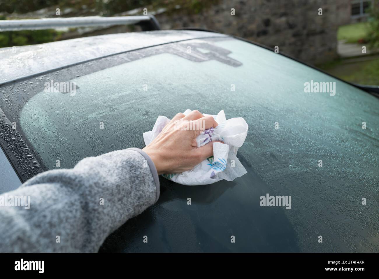 Hand wiping condensation off the glass of a windshield on an autumnal ...