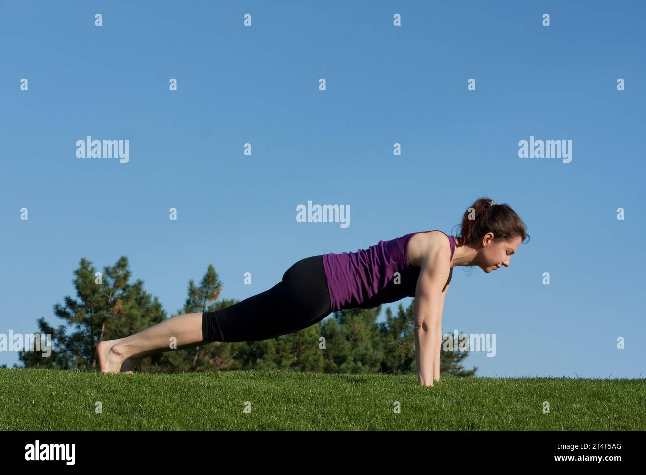 Fit young athletic woman doing static plank exercise, training ...