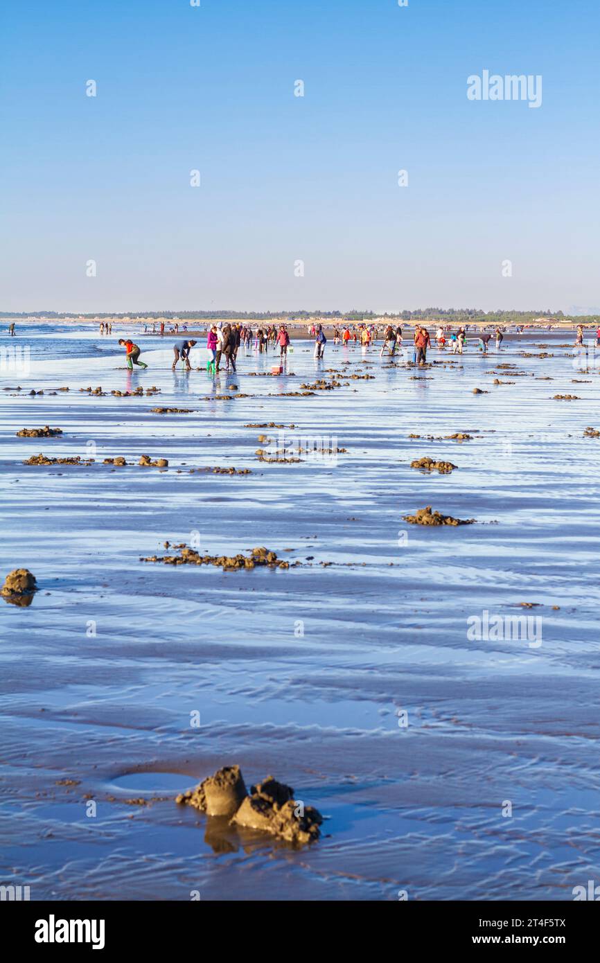 Clam digging hi-res stock photography and images - Alamy