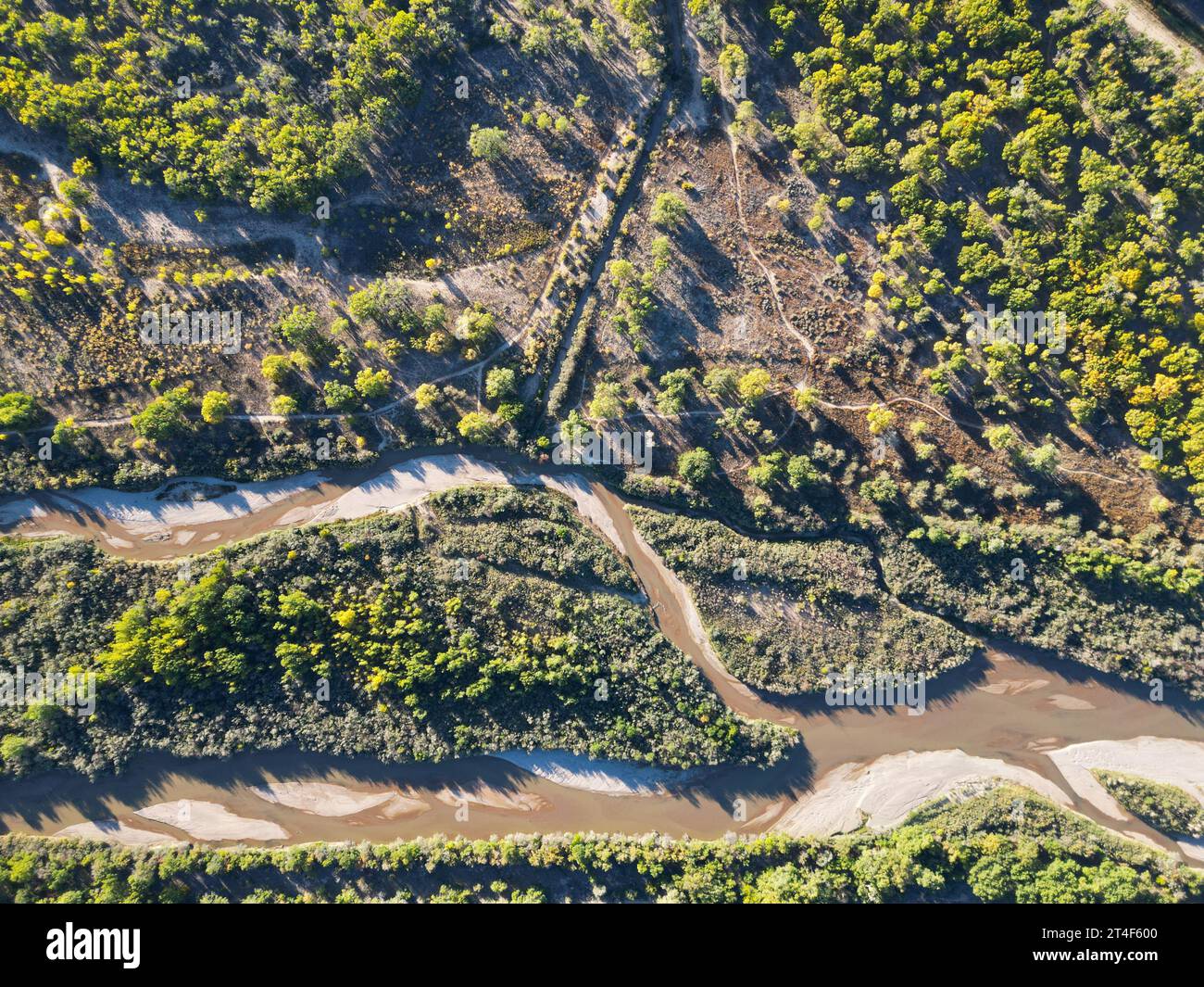Bosque trails hi-res stock photography and images - Alamy