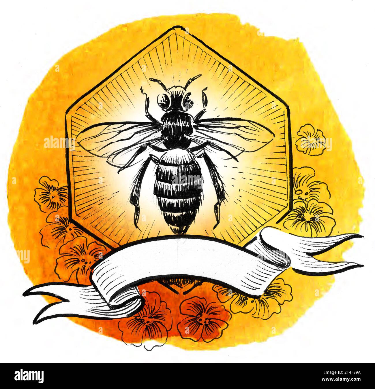 Honey bee. Hand-drawn ink and watercolor sketch Stock Photo - Alamy