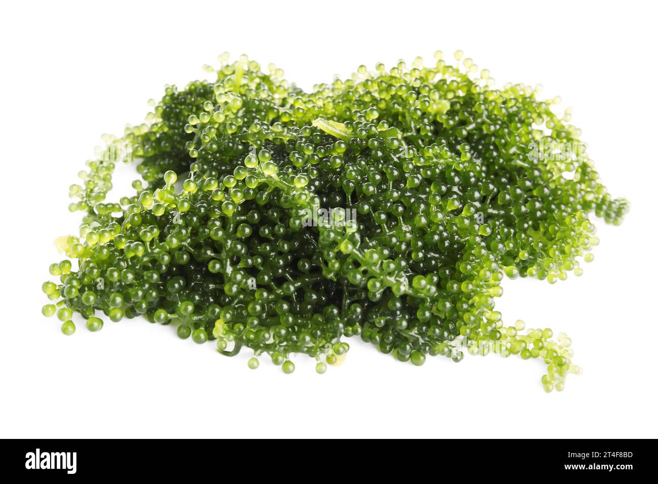 Heap of healthy seaweed on white background Stock Photo - Alamy