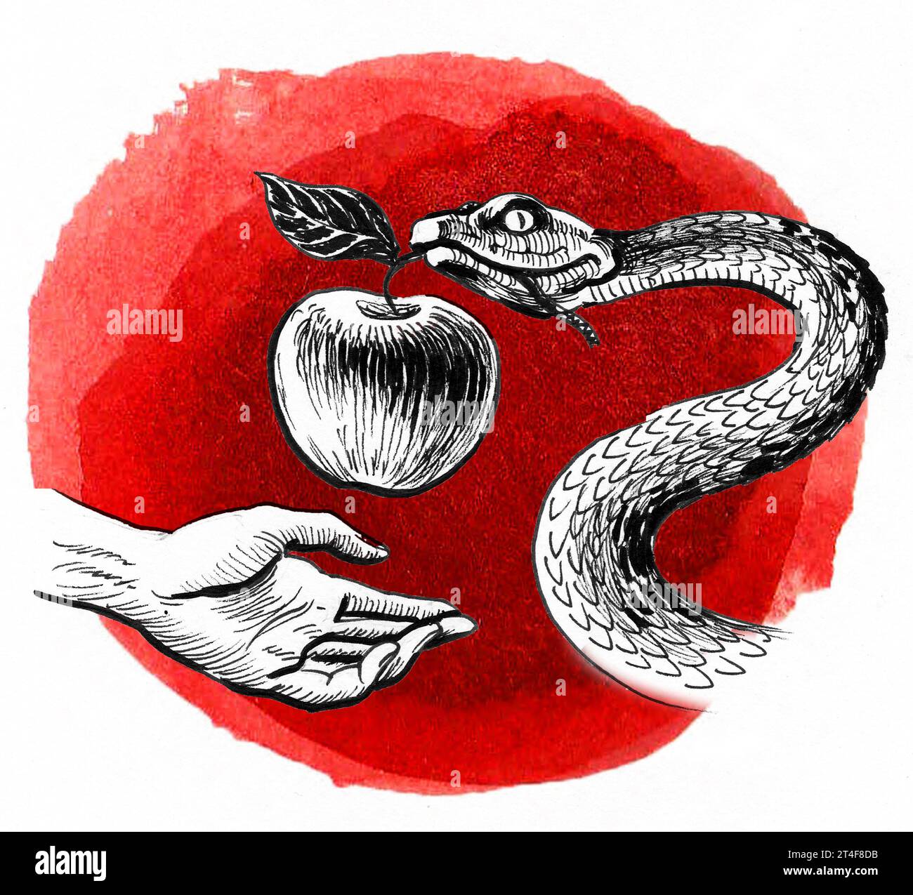 Snake with apple and human hand. Hand-drawn ink and watercolor sketch ...