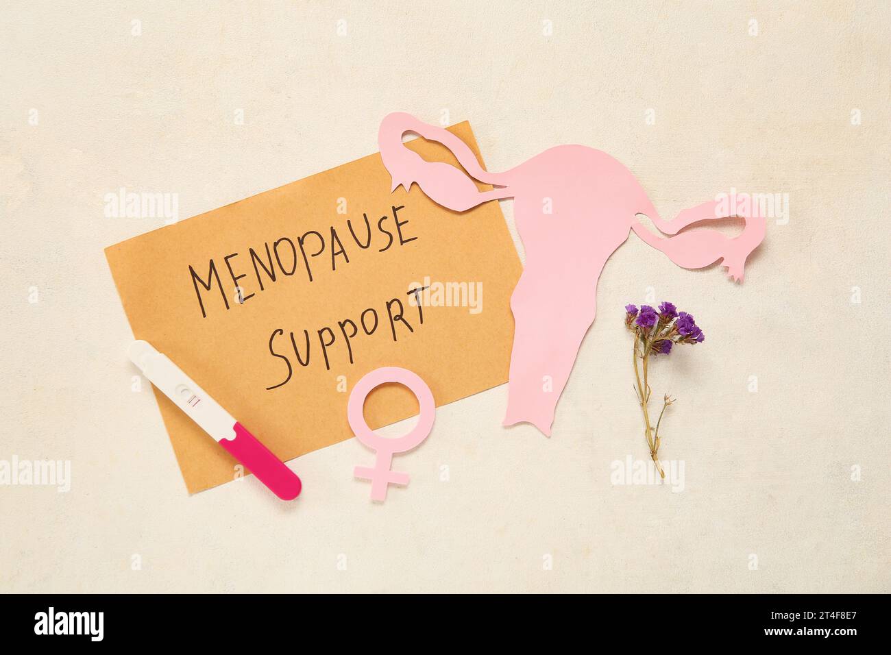 Paper with text MENOPAUSE SUPPORT, uterus, pregnancy test, symbol and ...