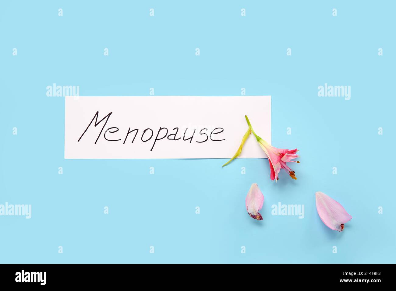 Word MENOPAUSE with flower on blue background Stock Photo - Alamy