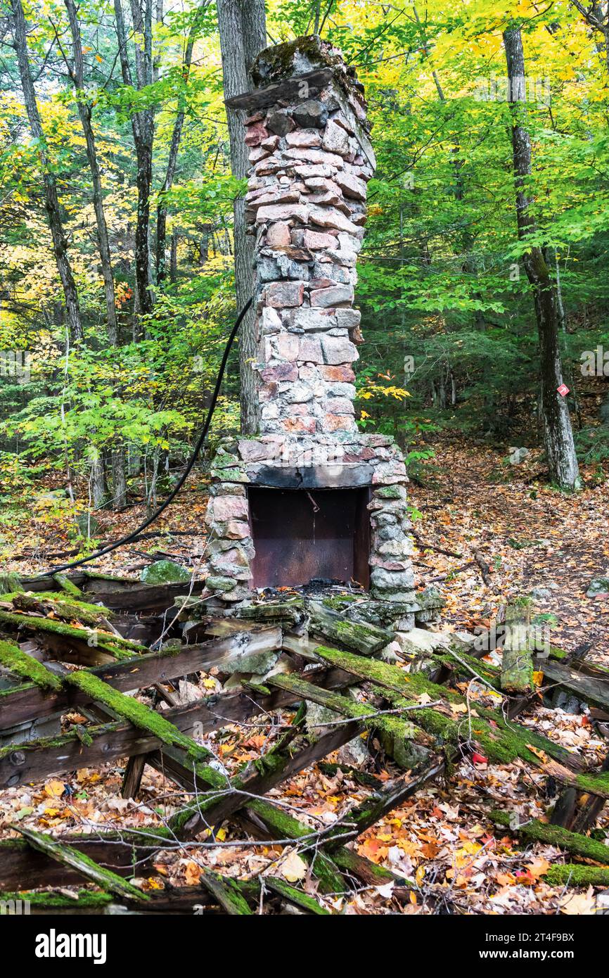 Ruined cabin in the forest Stock Photo - Alamy