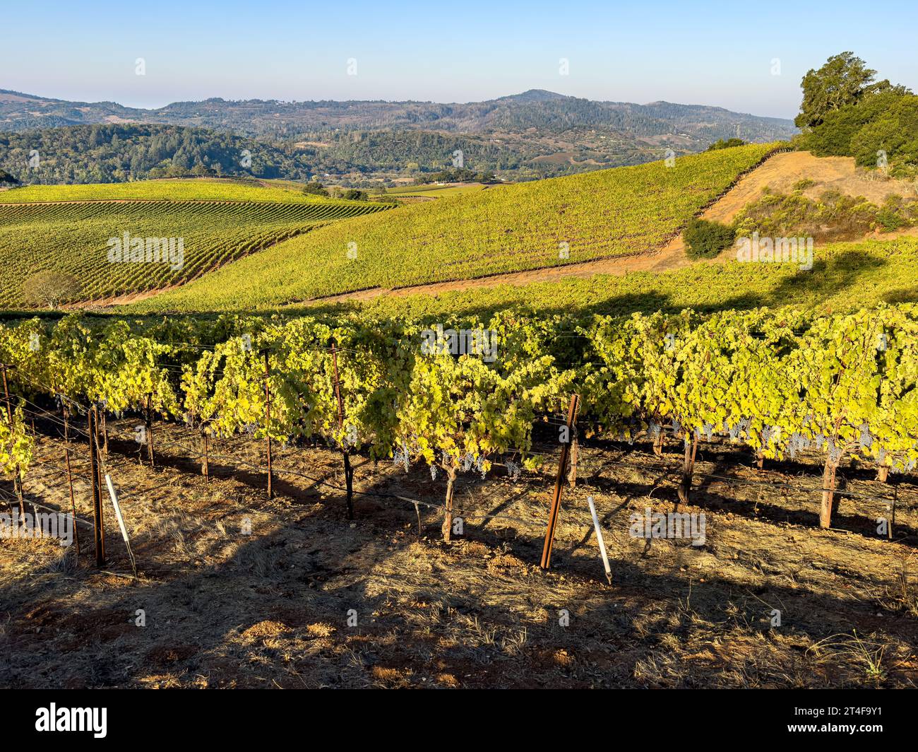 Nelligan road hi-res stock photography and images - Alamy