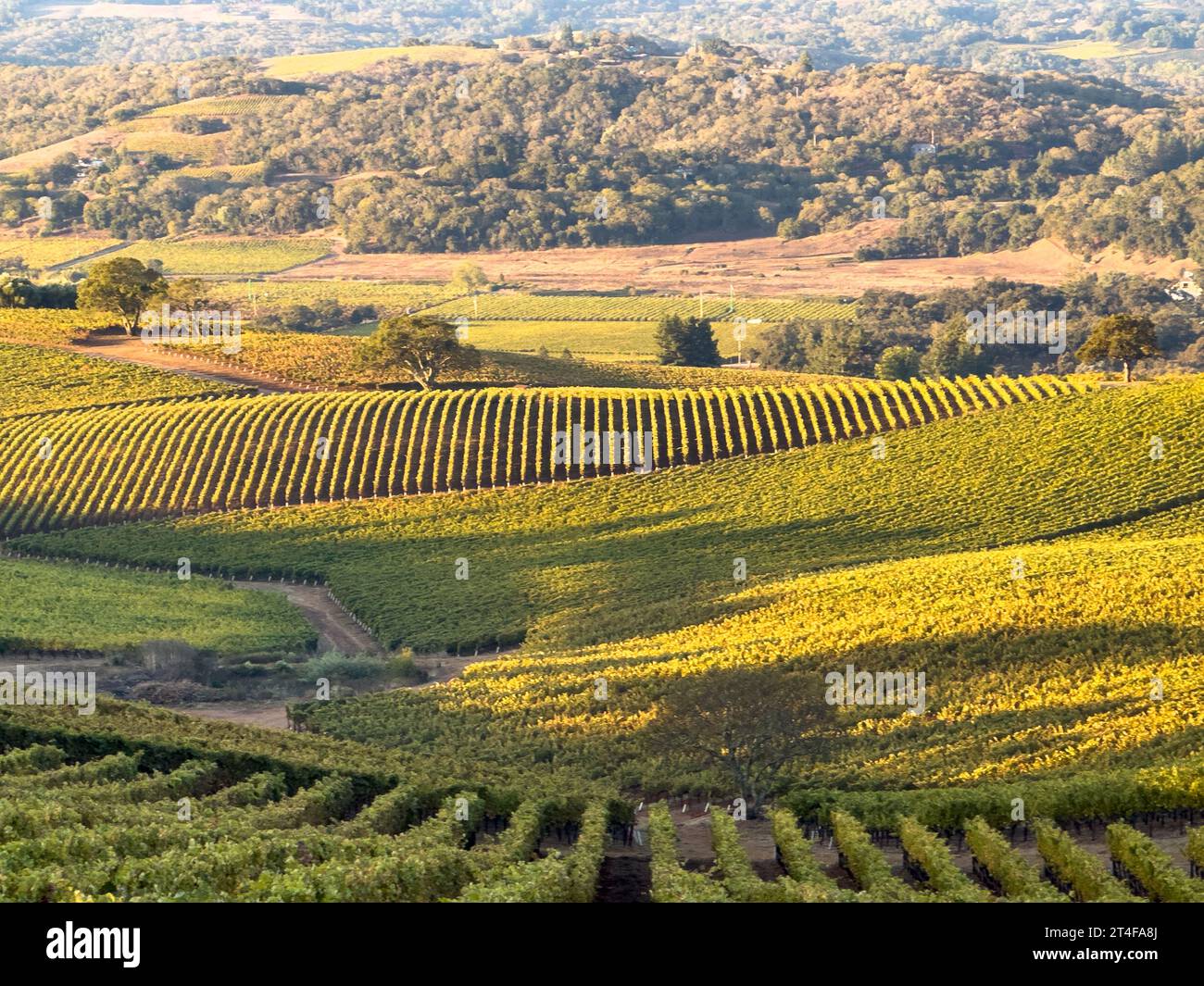 Nelligan road hi-res stock photography and images - Alamy