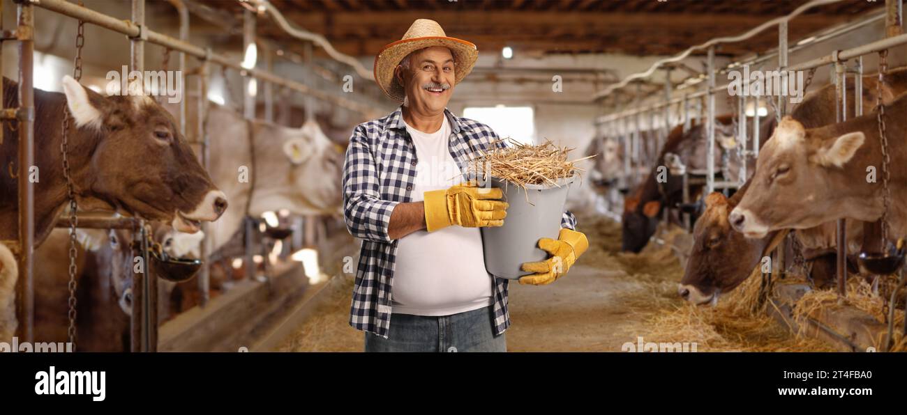 Farmer bucket feed on hi-res stock photography and images - Alamy