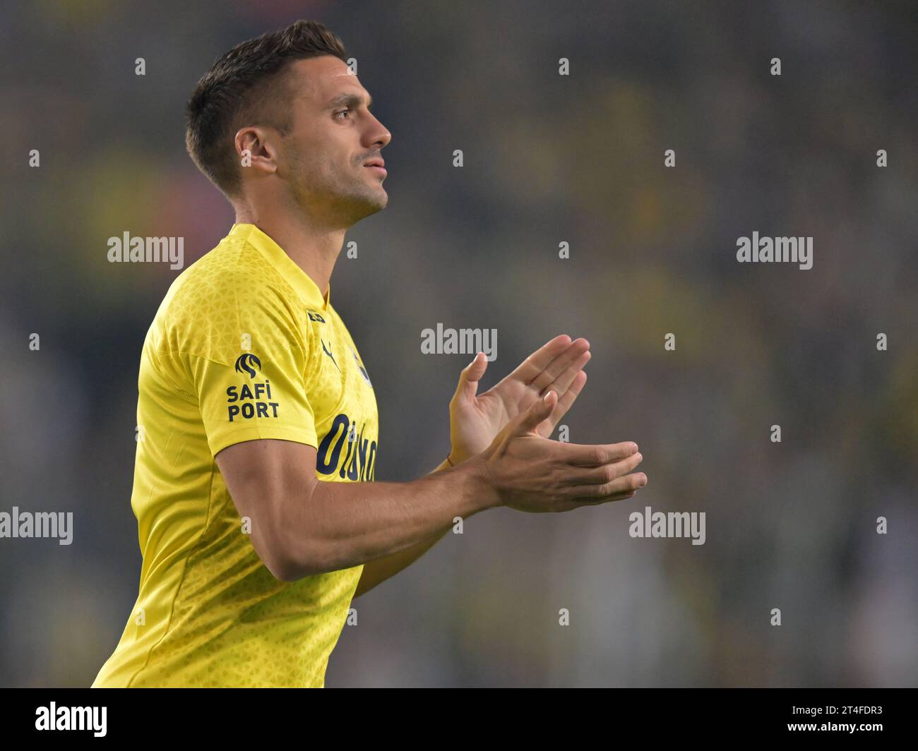 ISTANBUL Dusan Tadic of Fenerbahce SK during the Turkish Super Lig match between Fenerbahce AS ...