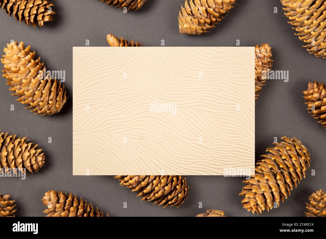 Pine cones with a vintage paper note Stock Photo - Alamy