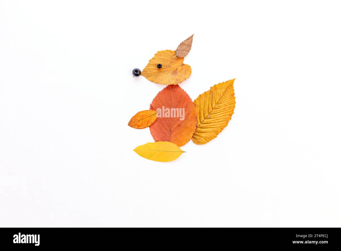 easy nature craft for kids, turtle made from leaves, ideas for autumn ...