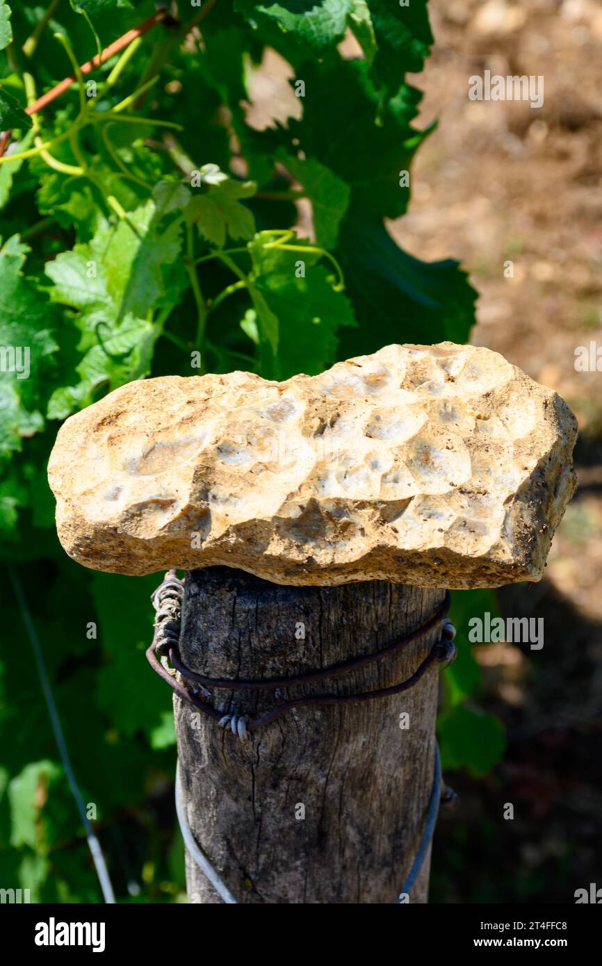Sample of soil, flint stone, vineyards of Pouilly-Fume appellation ...