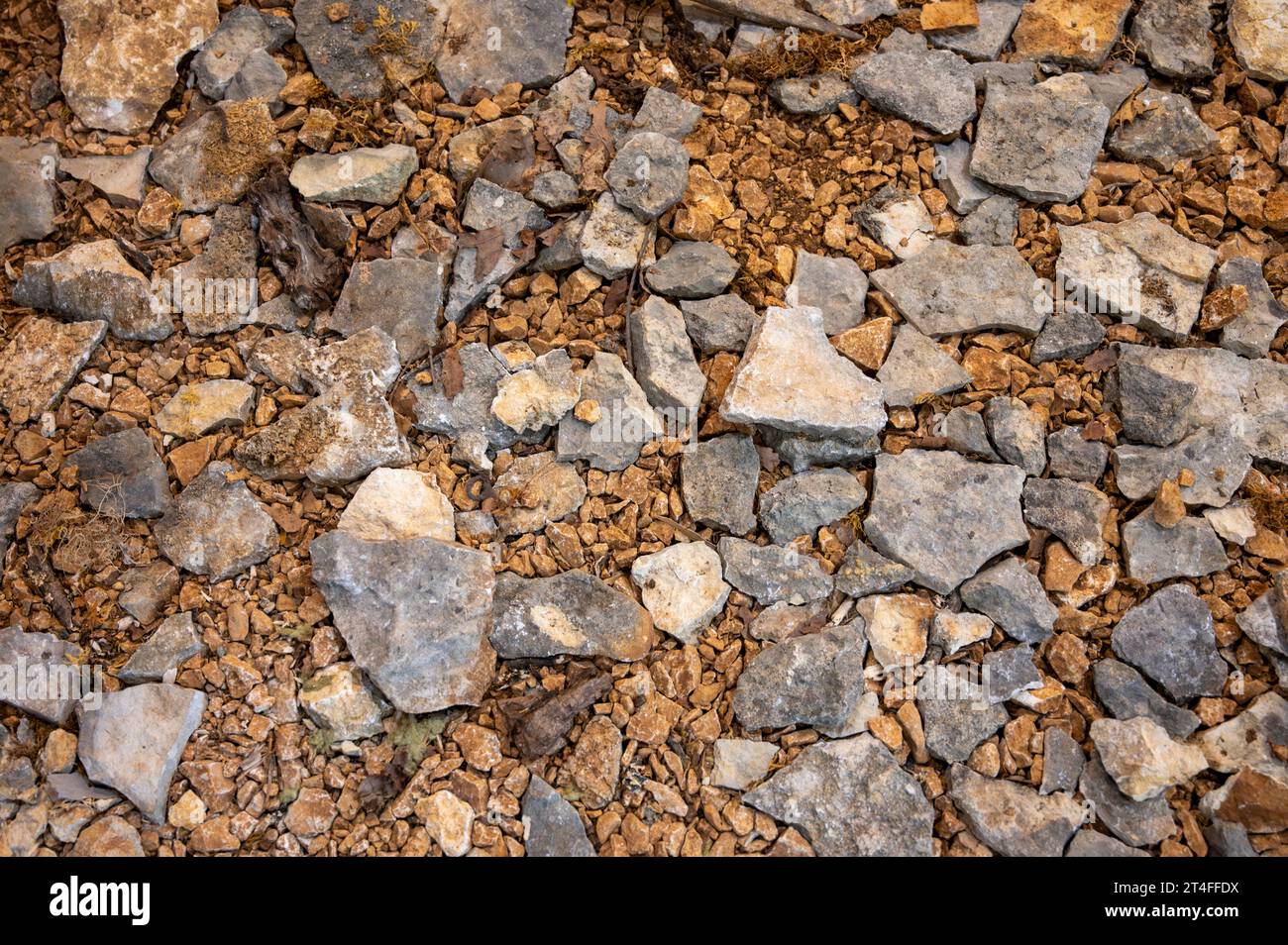 Truffle cultivation hi-res stock photography and images - Alamy