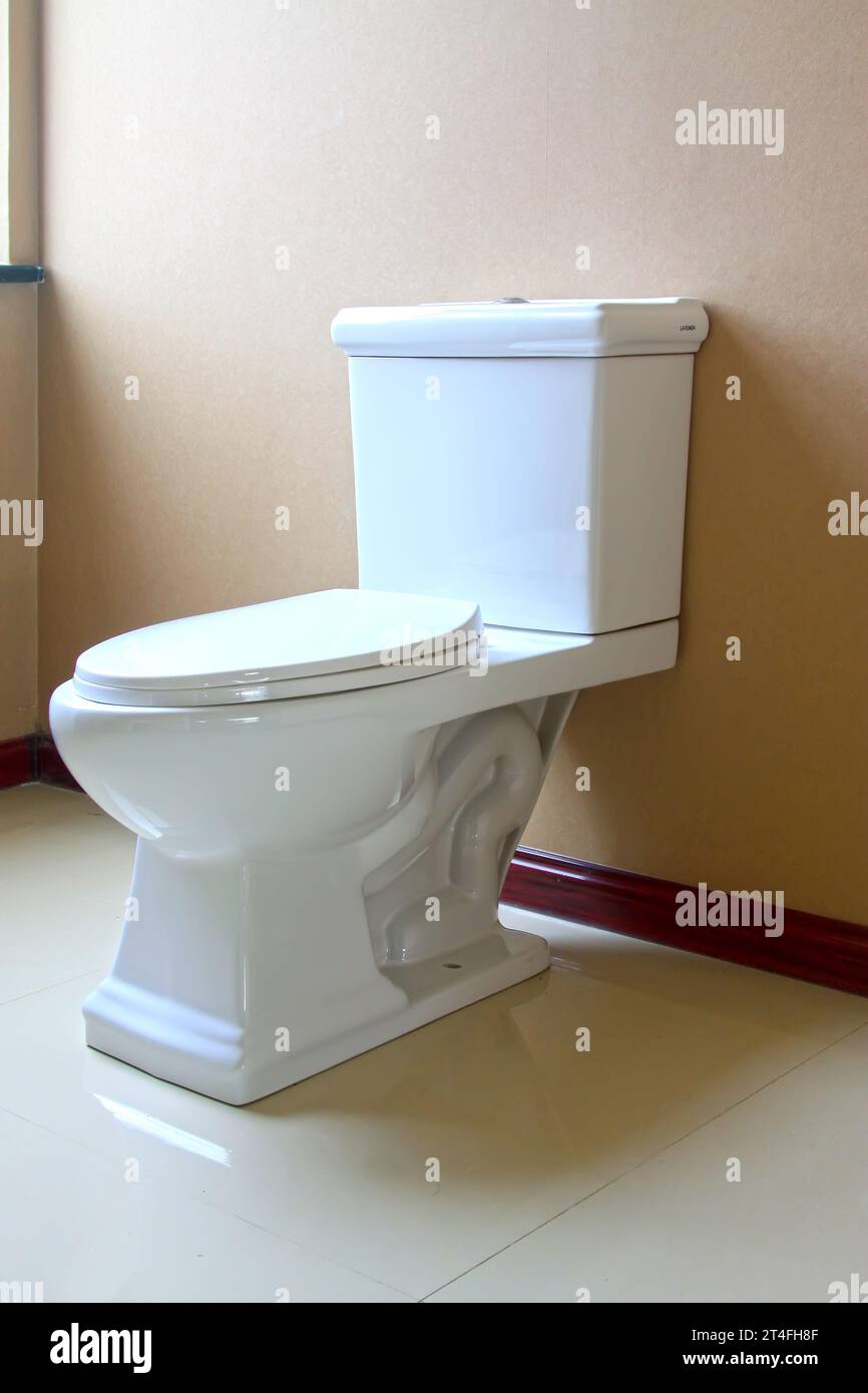 ceramic toilet people in the toilet Stock Photo - Alamy