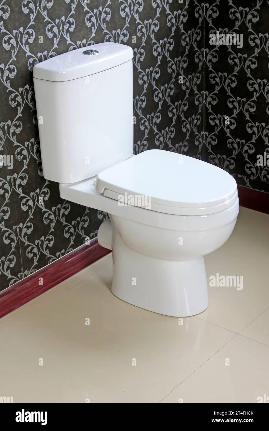 ceramic toilet people in the toilet Stock Photo - Alamy