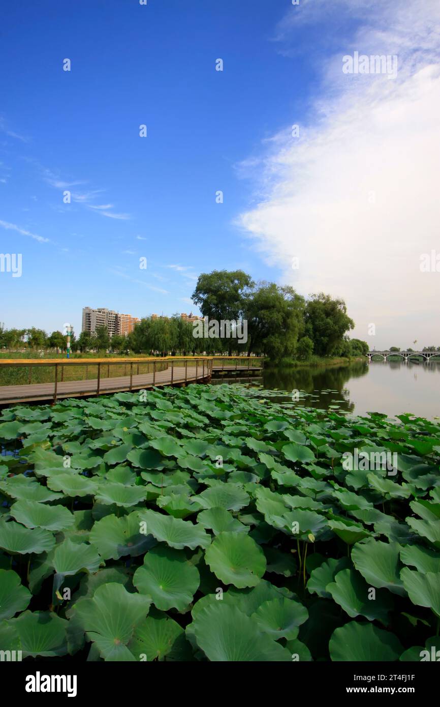Pier ponds hi-res stock photography and images - Alamy