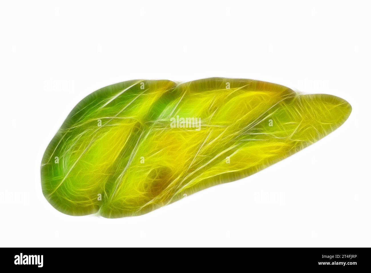 Rock effect on white background, computer generated Stock Photo - Alamy