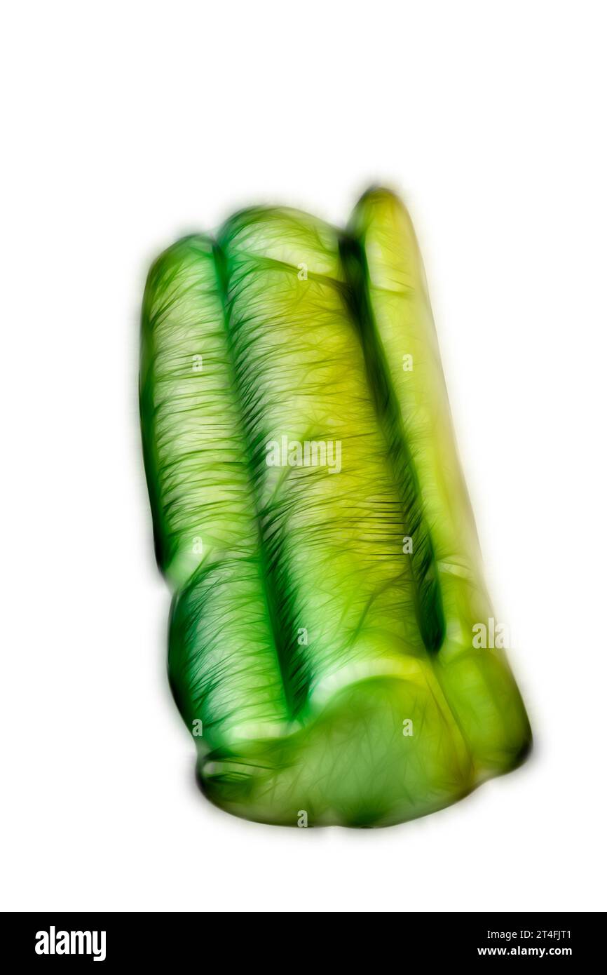 Rock effect on white background, computer generated Stock Photo - Alamy