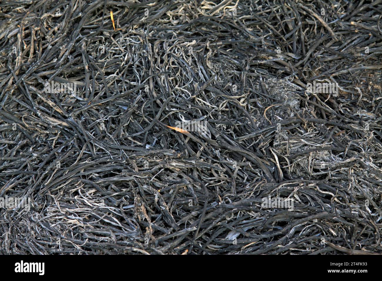 Straw ash, closeup of photo Stock Photo - Alamy