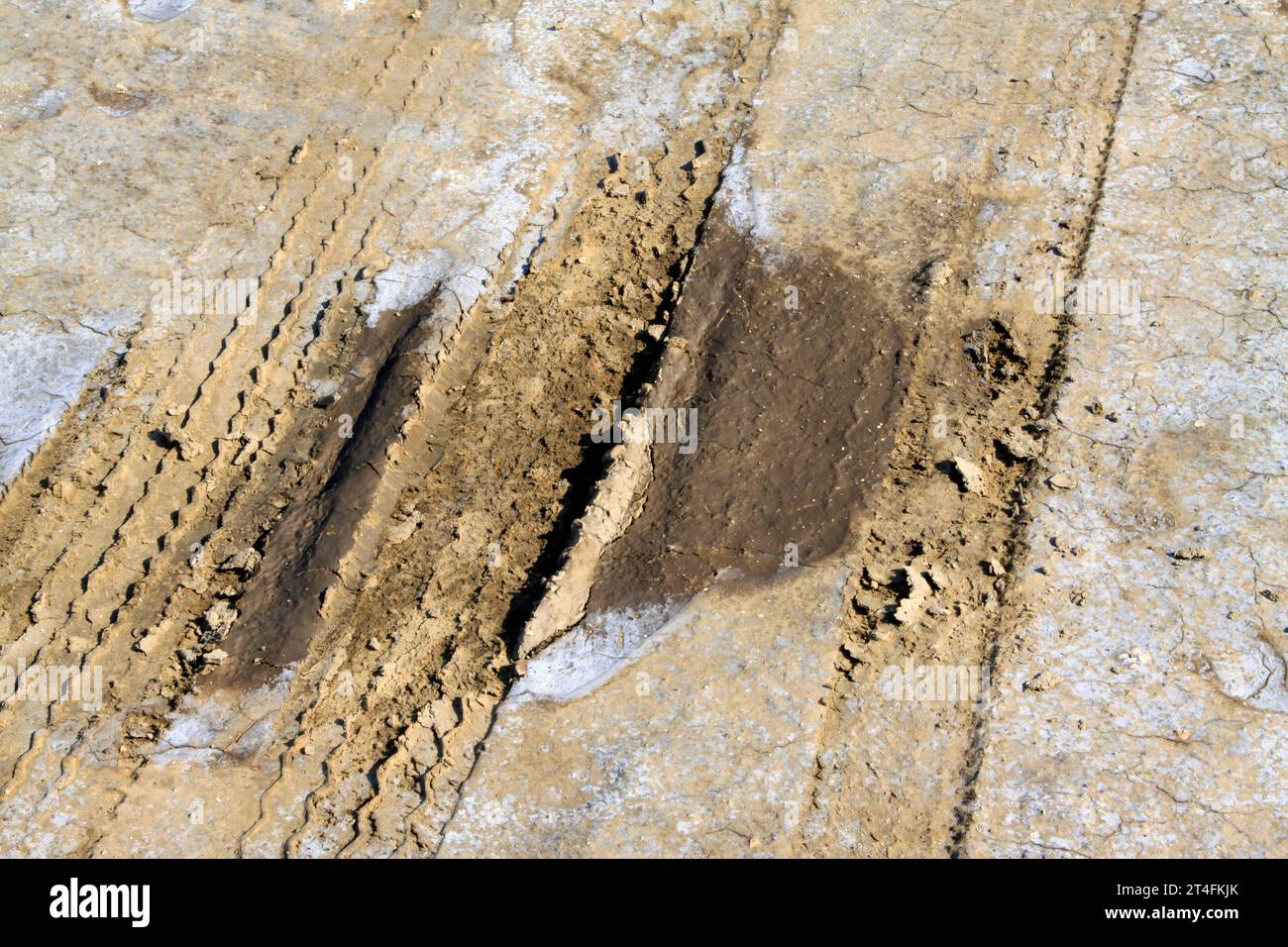 tracing rut on the land, in the wilderness Stock Photo - Alamy