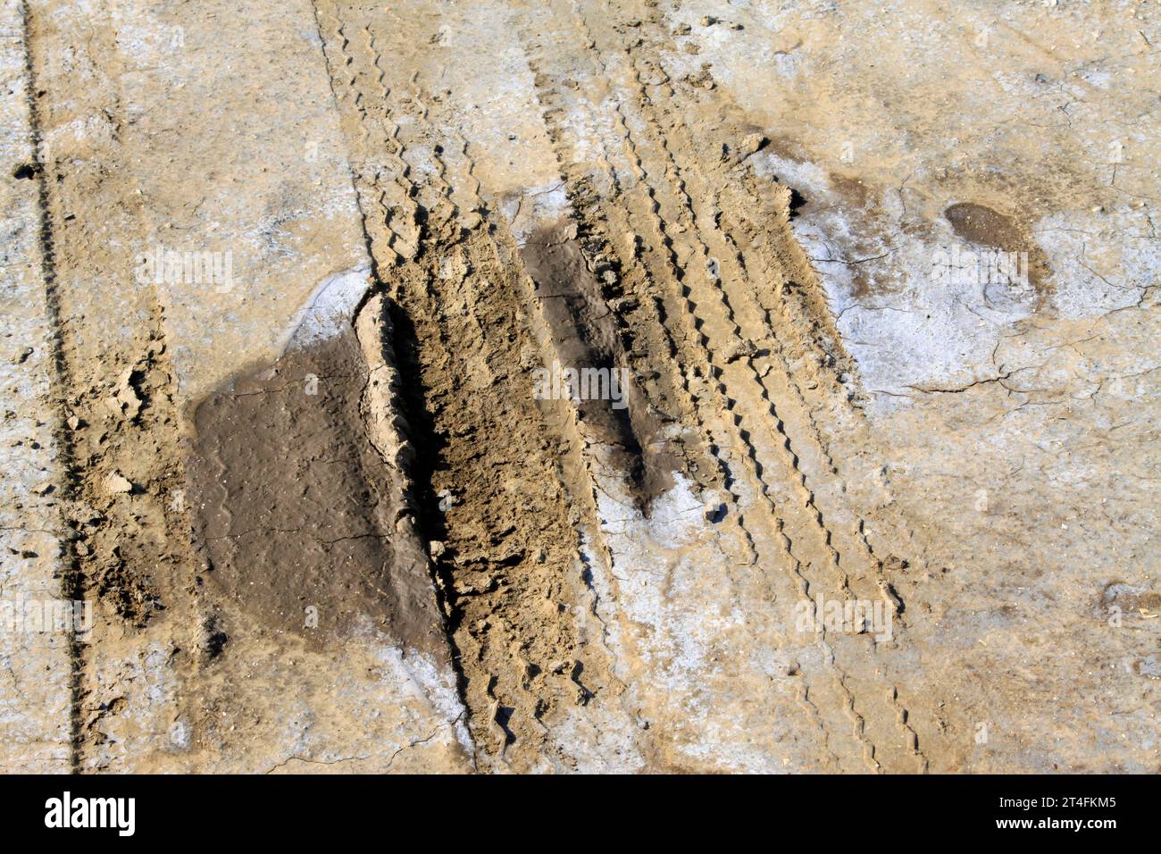 tracing rut on the land, in the wilderness Stock Photo - Alamy