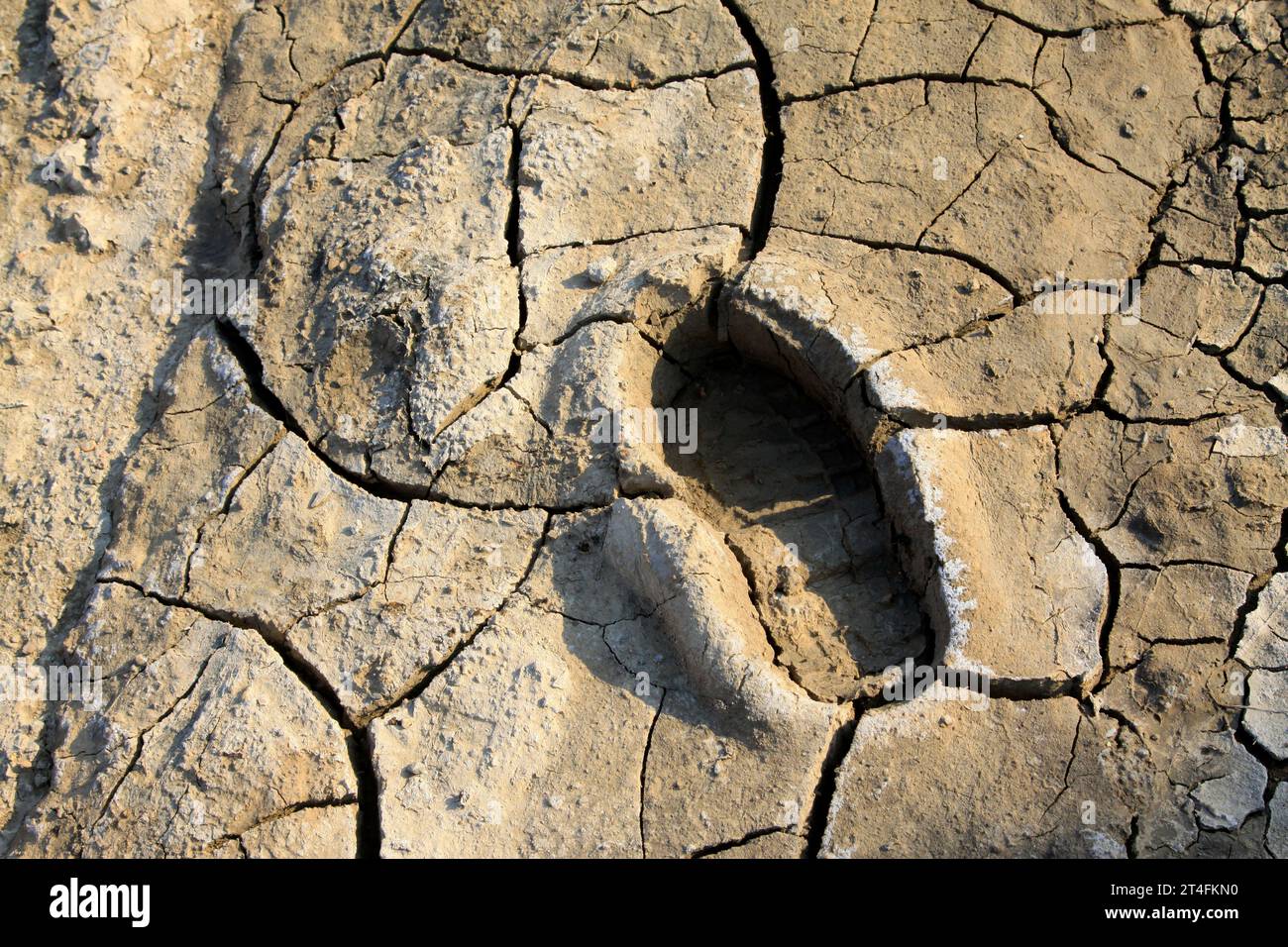 Tag footprint hi-res stock photography and images - Alamy
