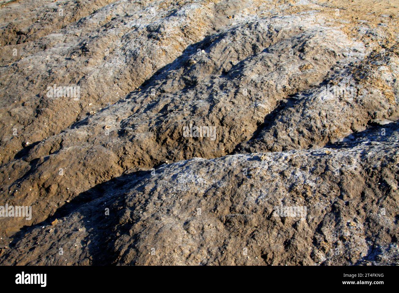 Alkaline soil hi-res stock photography and images - Alamy