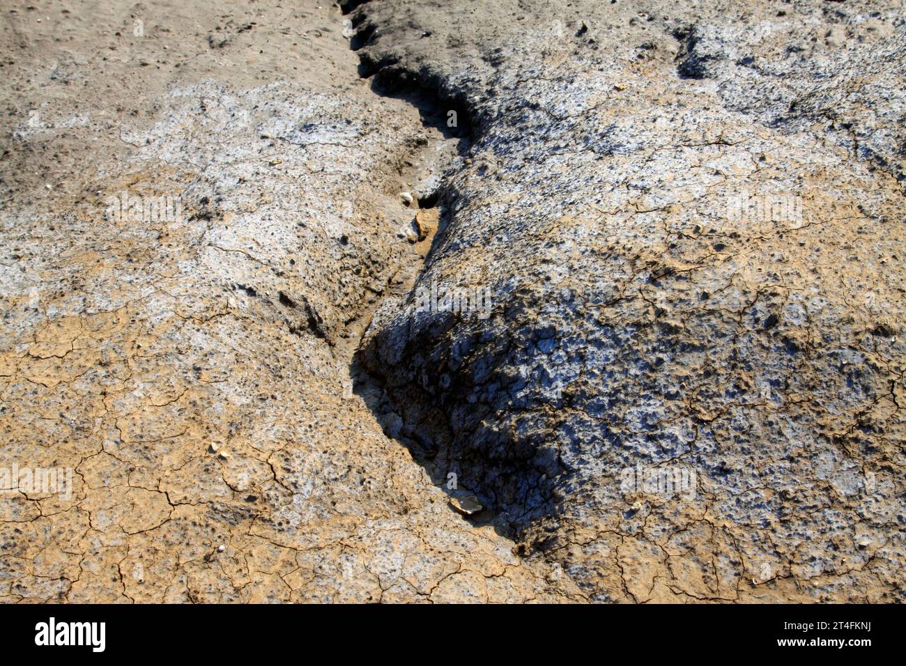 Alkaline soil hi-res stock photography and images - Alamy