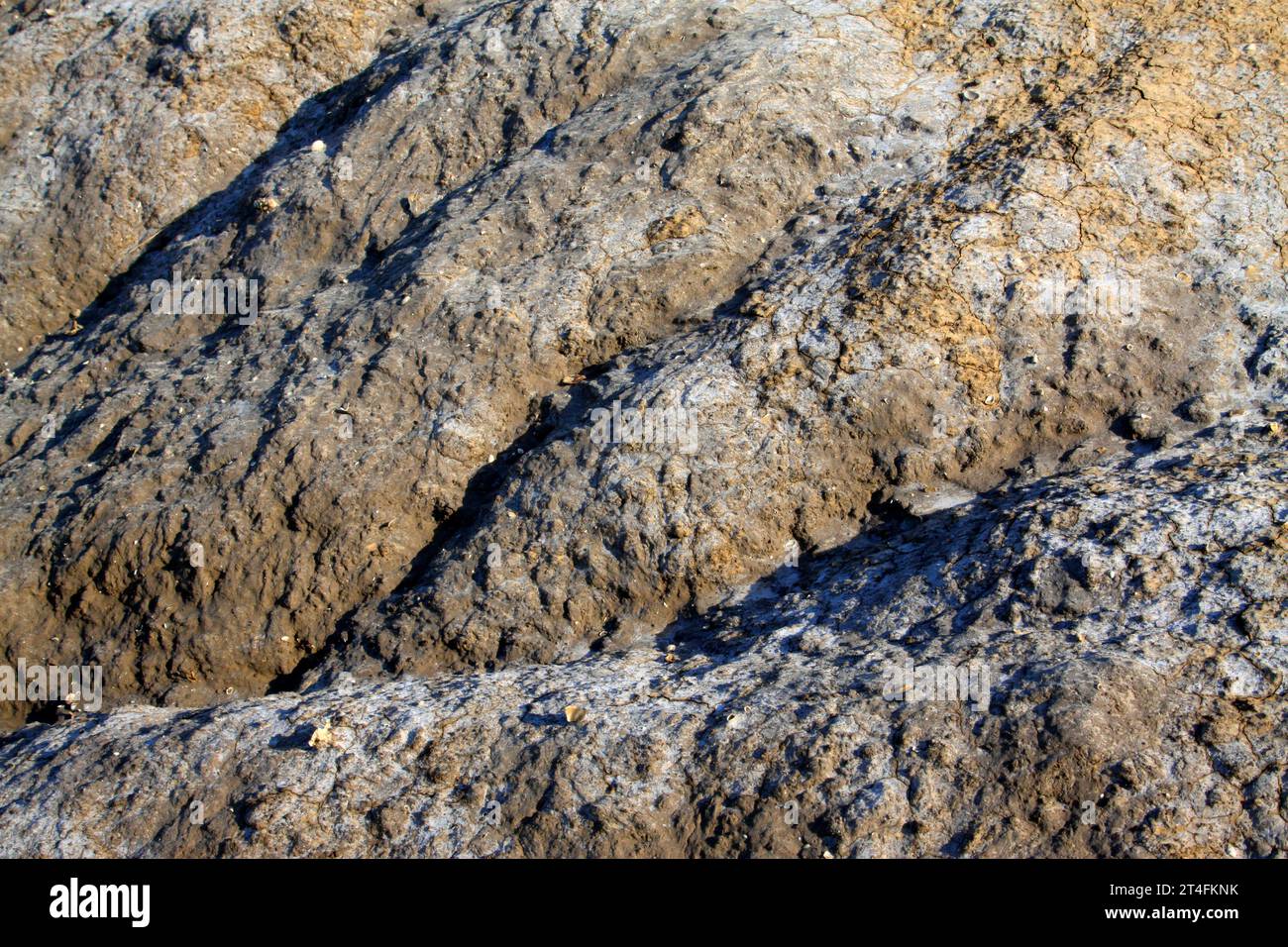 Soil is alkaline hi-res stock photography and images - Alamy