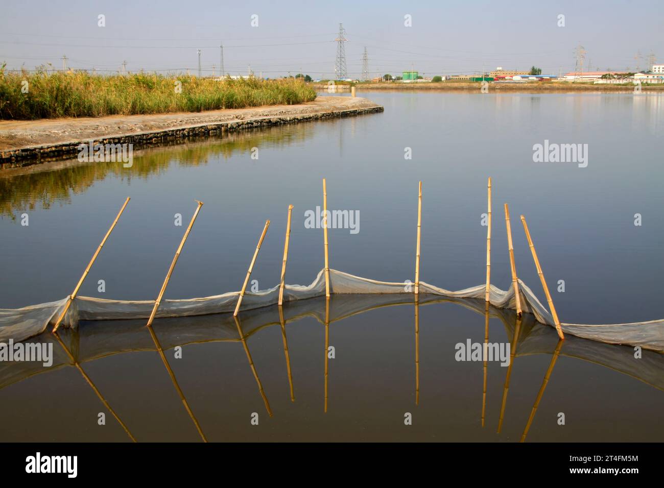 Bamboo nets hi-res stock photography and images - Alamy