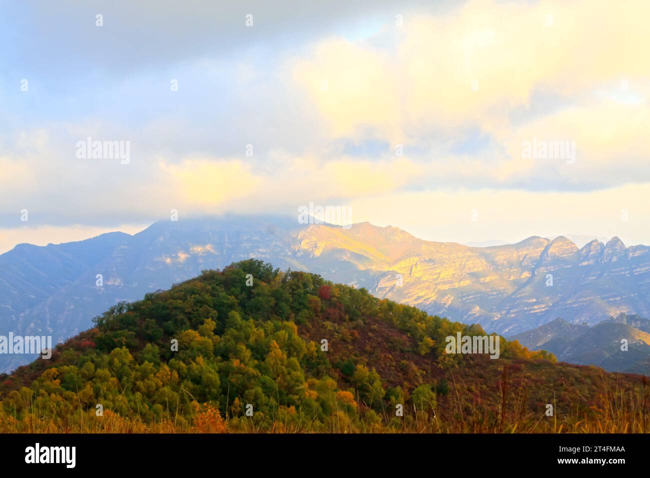 Lingshan park hi-res stock photography and images - Alamy