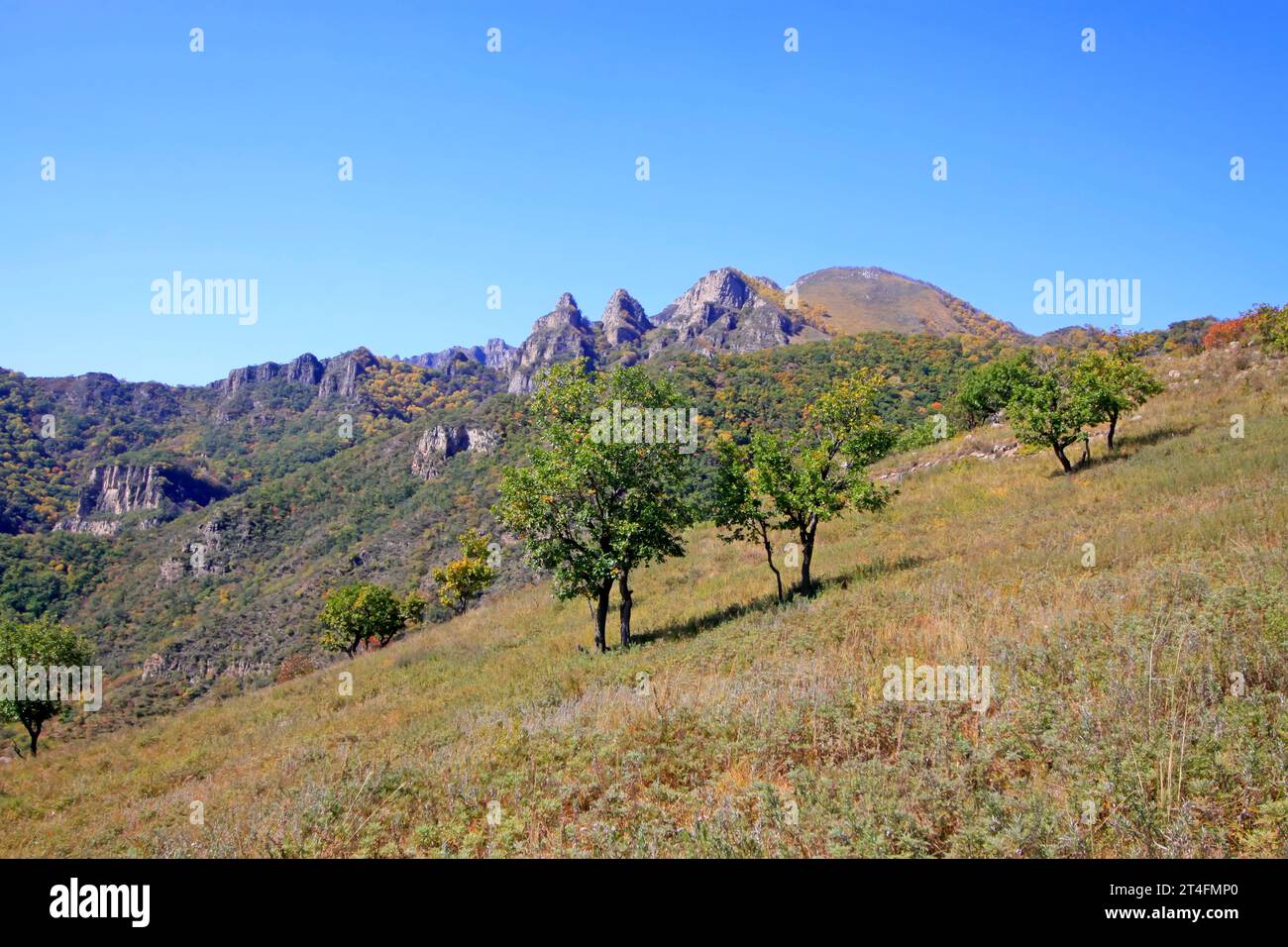 mountain natural scenery, closeup of photo Stock Photo - Alamy
