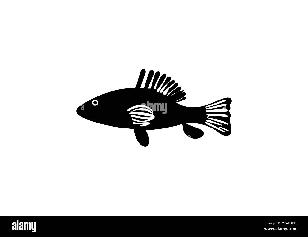 Australian Flathead Perch minimal style icon illustration design Stock ...