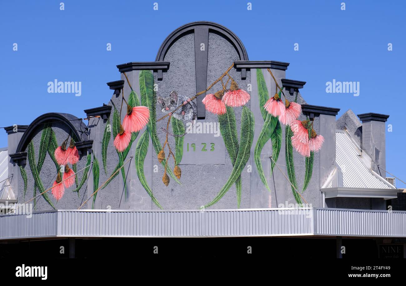 North Perth: Mural by Susan Respinger on Bulwer Plaza building facade ...